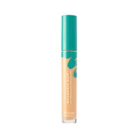 The Best Waterproof Concealers | Makeup.com